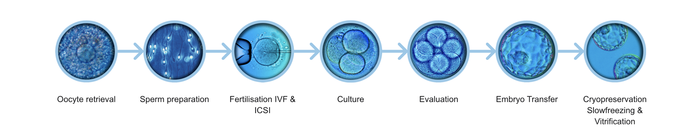 Vitrolife Modular Laser Systems | IVF Laser Systems | Vitrolife Lasers